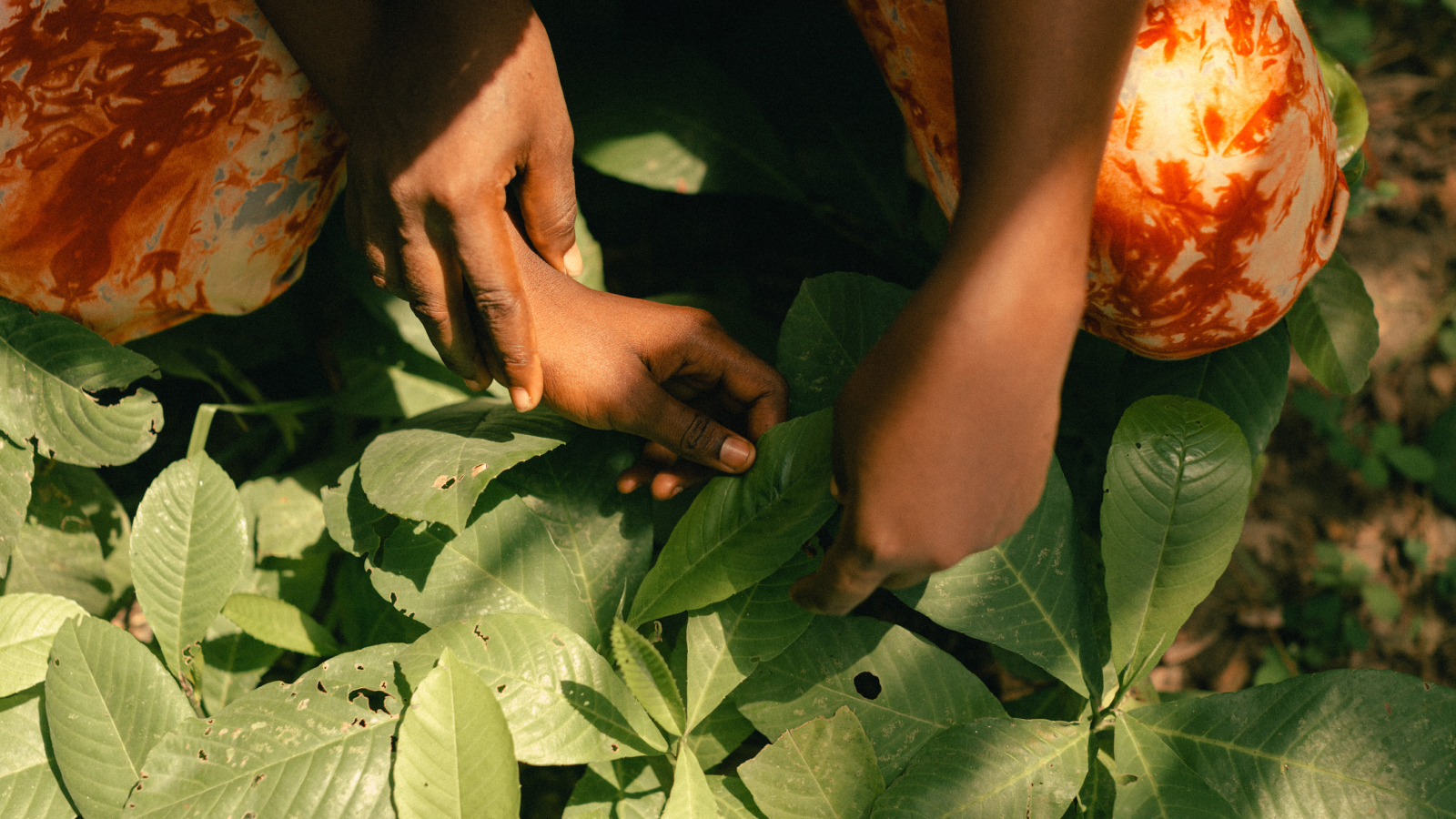 Putting people at the center of corporate climate action